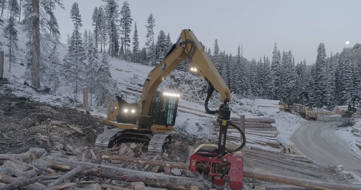 Next Generation Caterpillar Forest Machine Upgrades Product, Comfort ...