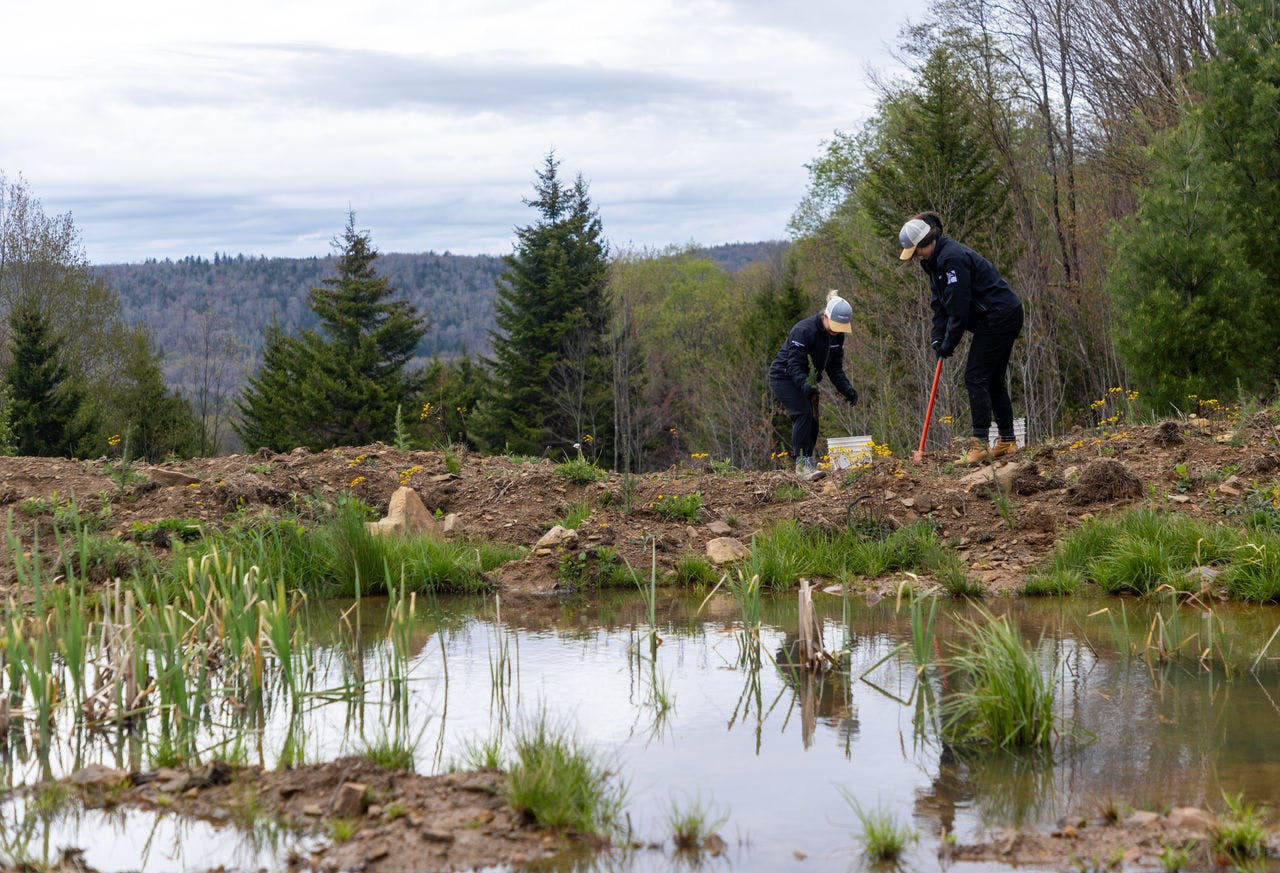 Komatsu and Green Forests Work Team up on Reforestation Efforts ...